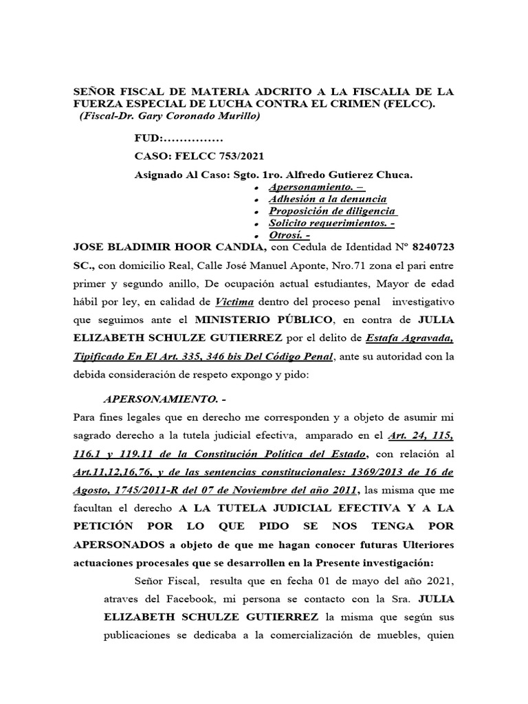 Bladimir | PDF | Ley Pública | Derecho penal