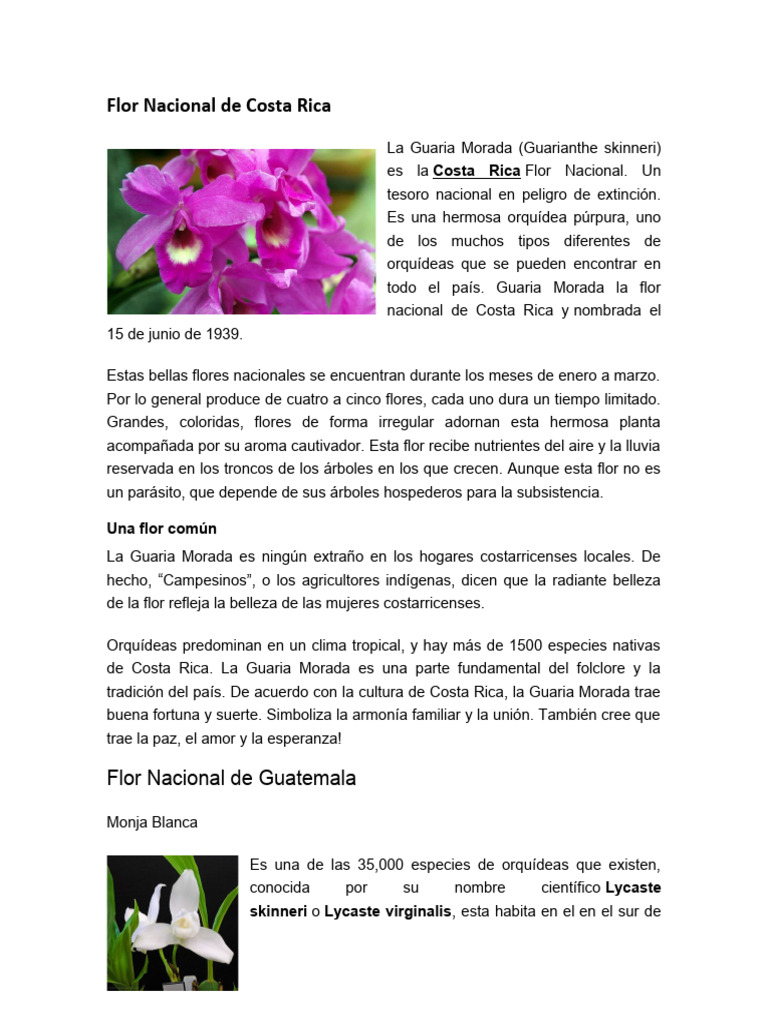Flor Nacional de Costa Rica | PDF