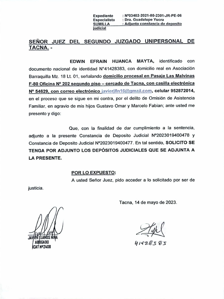 Constancia de Deposito Judicial - Omision | PDF