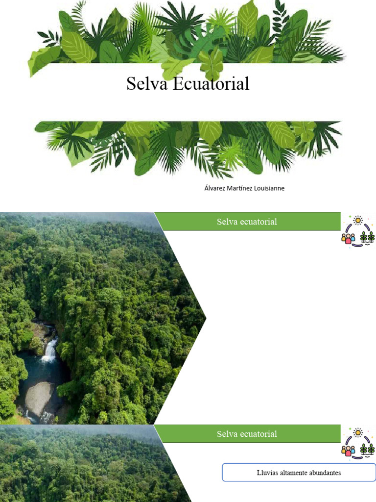 Selva Ecuatorial | PDF | Zona tropical | Clima