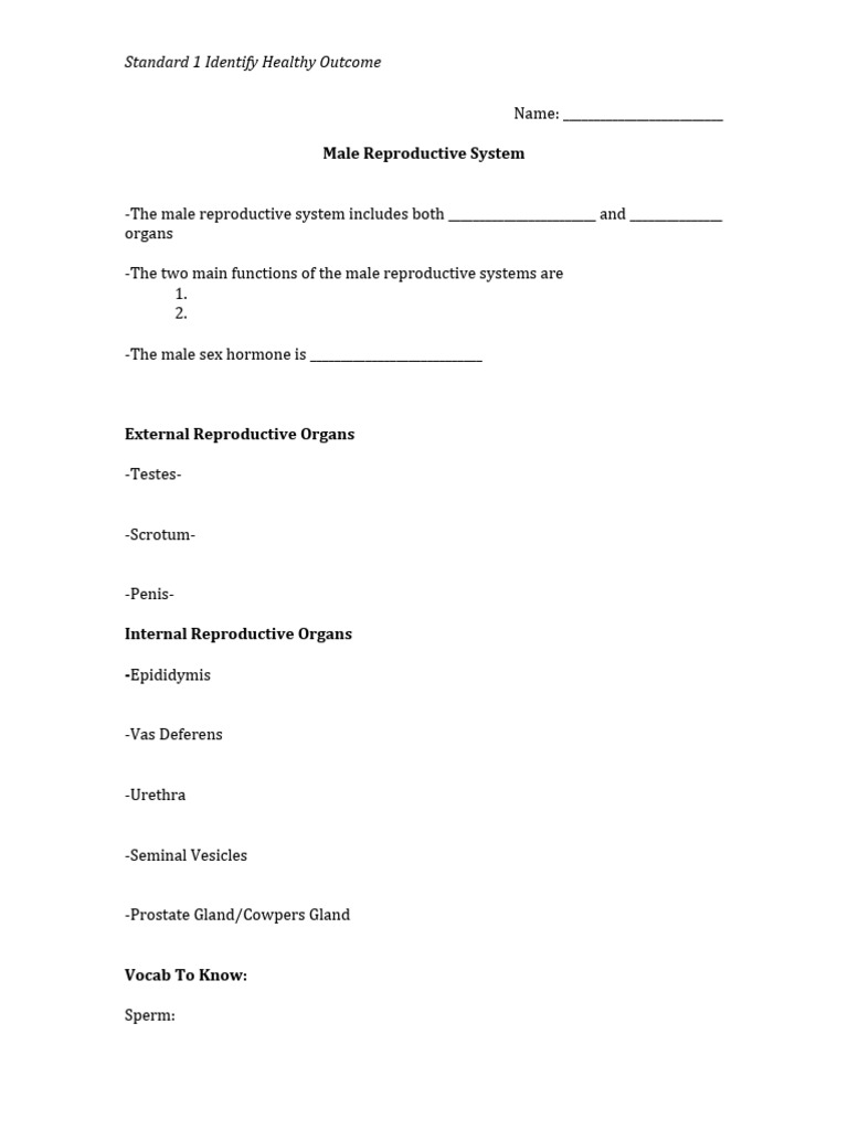 Guided+Notes+Reproductive+Sys +WS | PDF