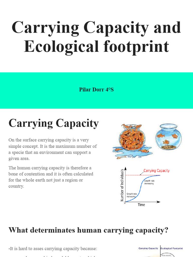 Understanding Carrying Capacity and EF | PDF | Sustainability | Water