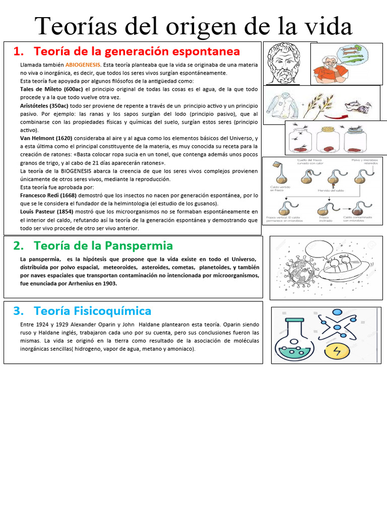 Teorías Del Origen de La Vida | PDF