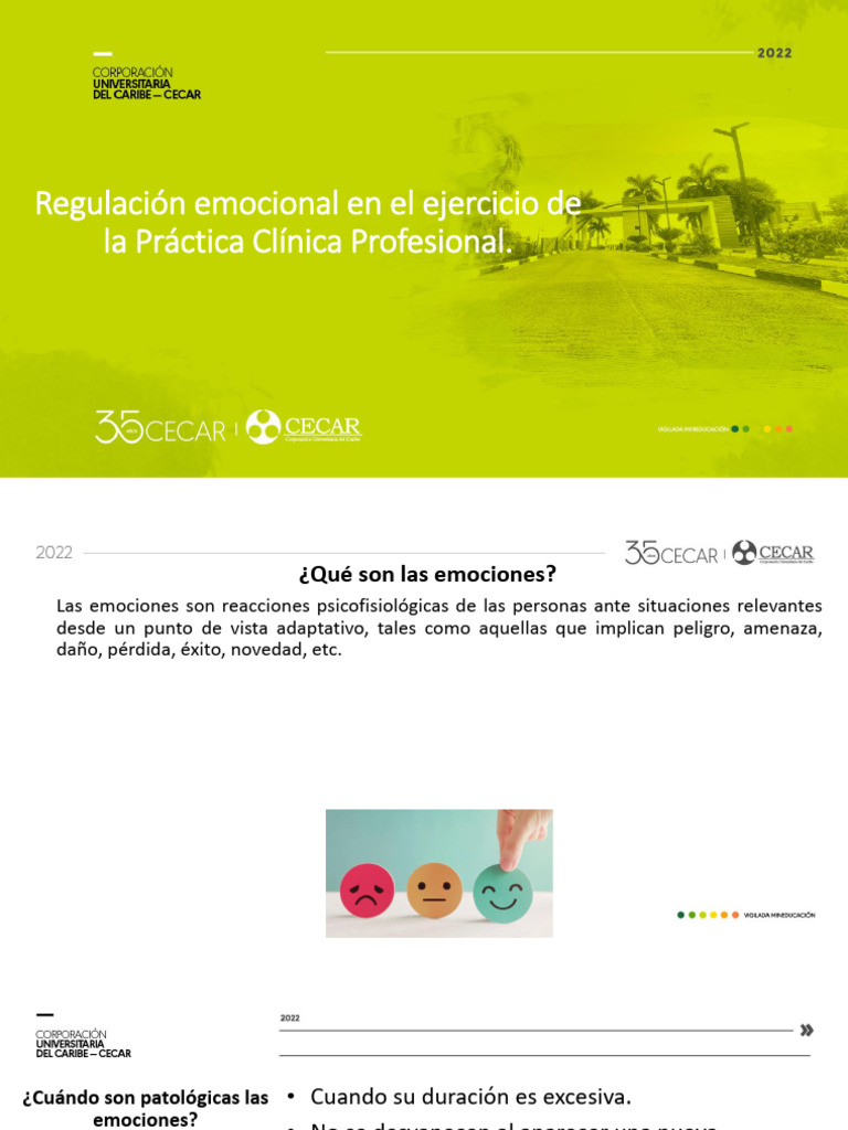 Taller Gestión Emocional | PDF | Las emociones | Autorregulación emocional
