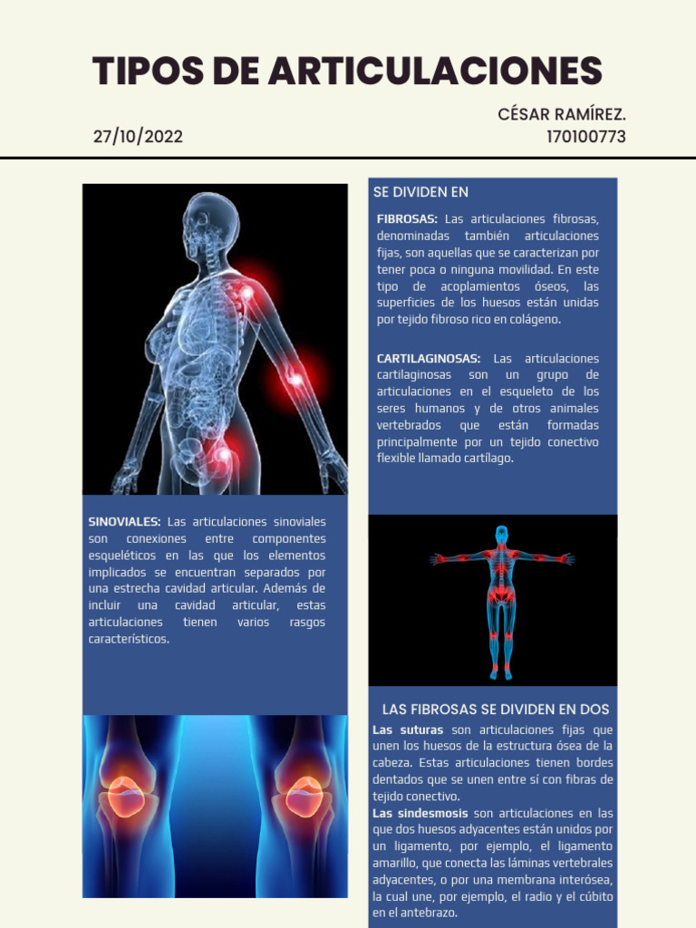 Tipos de Articulaciones | PDF | Articulación | Anatomía