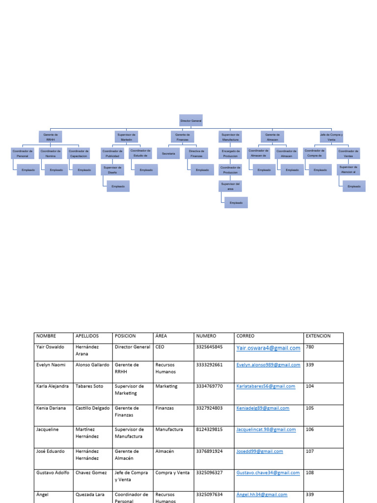Organigramas | PDF | Marketing | Economias