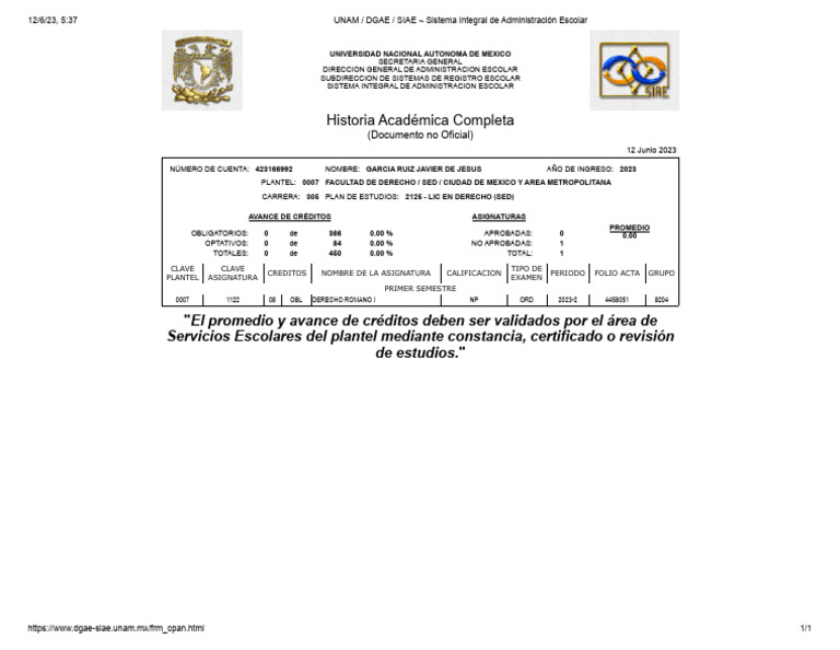 SIAE (Panel de Control) | PDF