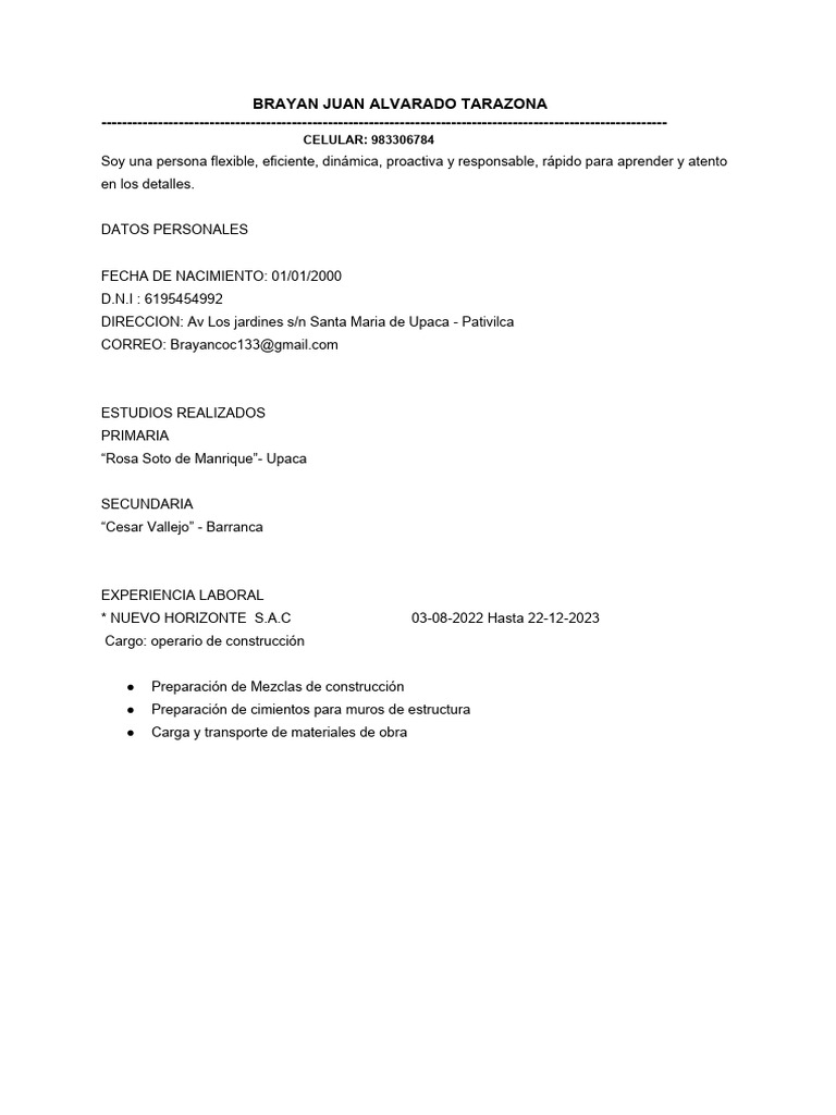 CV Brayan Alvarado | PDF