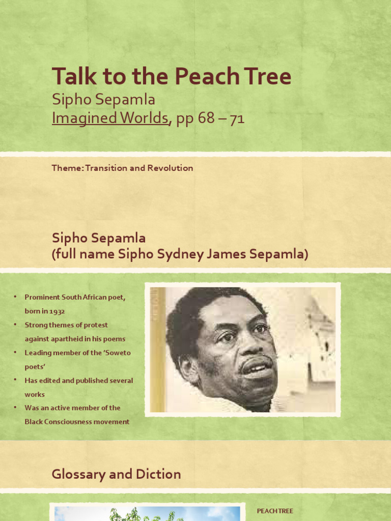 Talk To The Peach Tree Sipho Sepamla | Download Free PDF | Poetry | Irony