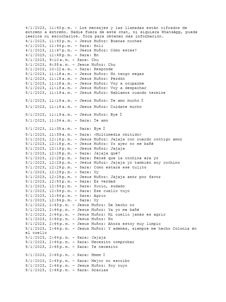 Chat de WhatsApp Con Sara-2.0 | PDF