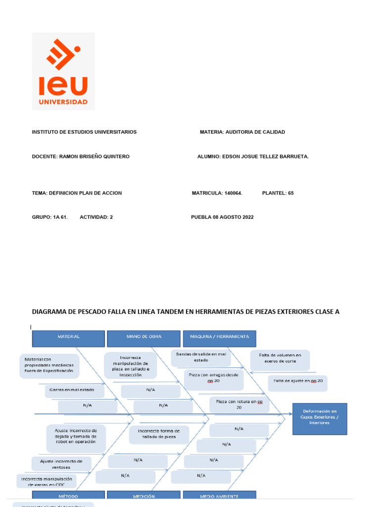 Act 2 Auditoria de Calidad - Definicion Plan de Accion | PDF | Importar