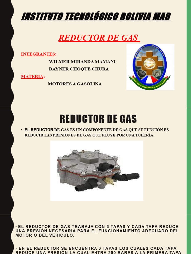 Reductor de Gas | PDF