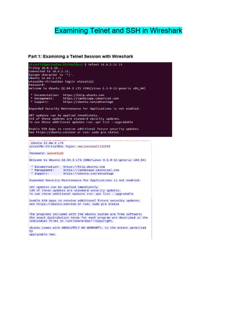 Analyzing Telnet vs SSH in Wireshark | PDF | Technology & Engineering