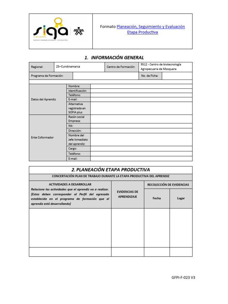Información General: Formato | PDF | Planificación
