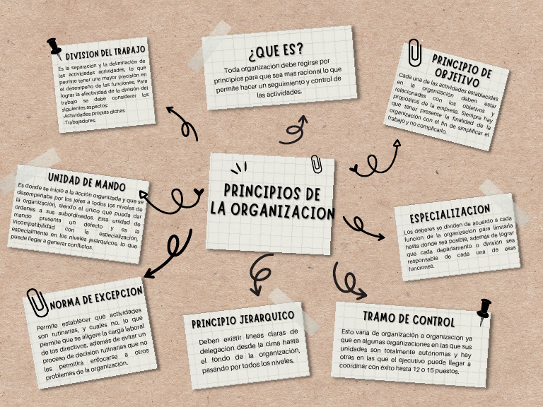 MAPA-Principios de La Organización | PDF