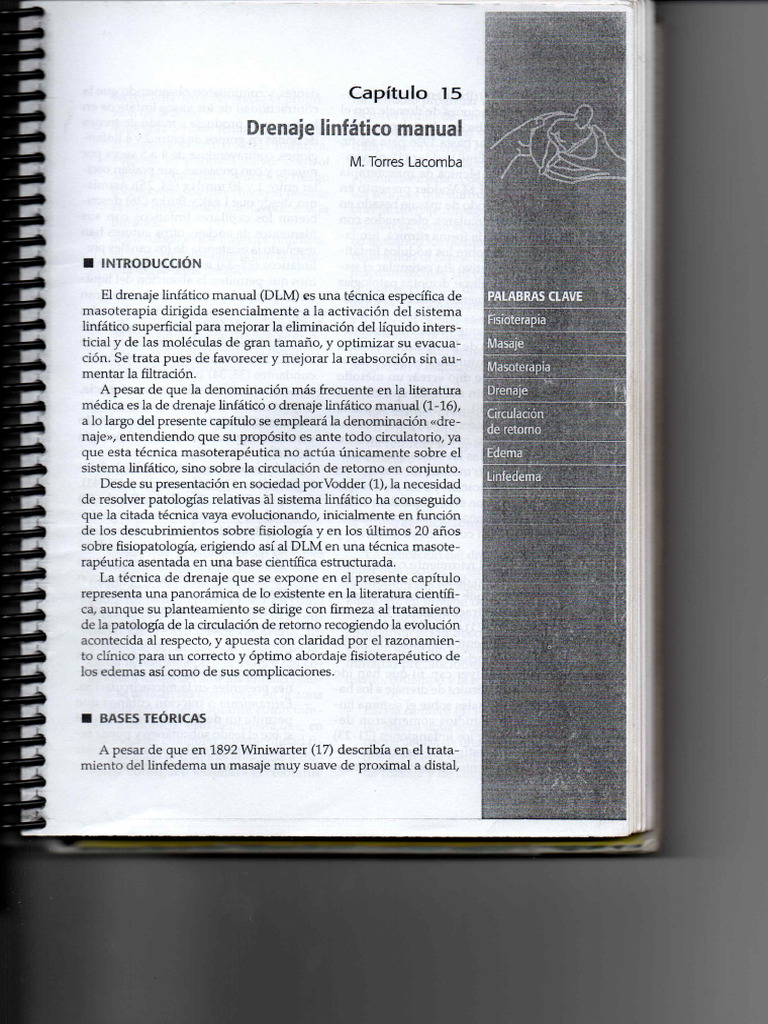 Fundamento Teorico DLM | PDF