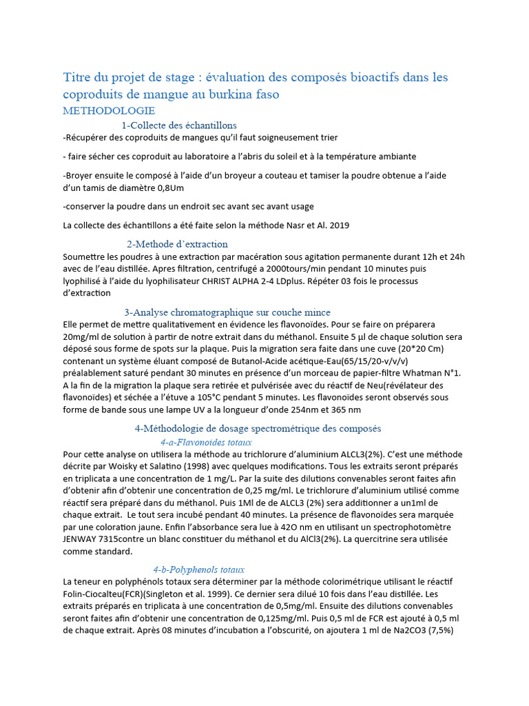 Titre Du Projet de Stage | PDF