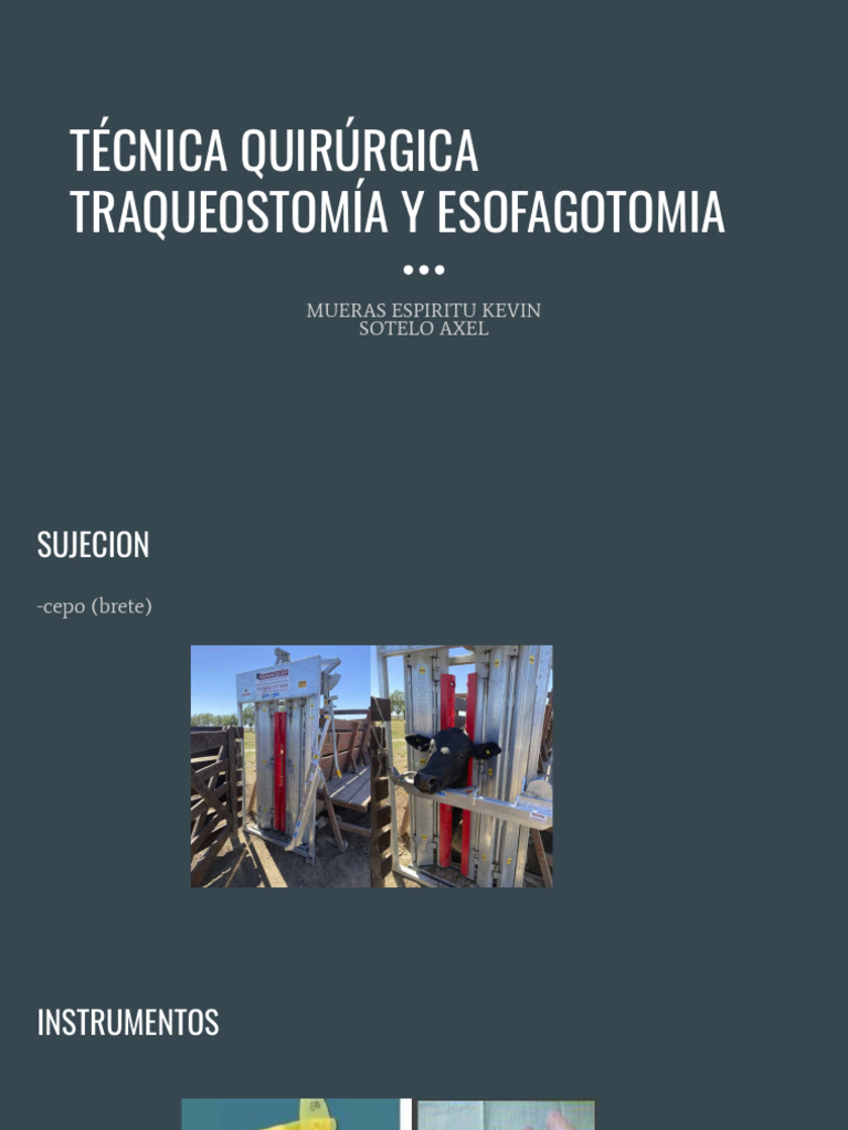 Expo | PDF | Cirugía | Esófago
