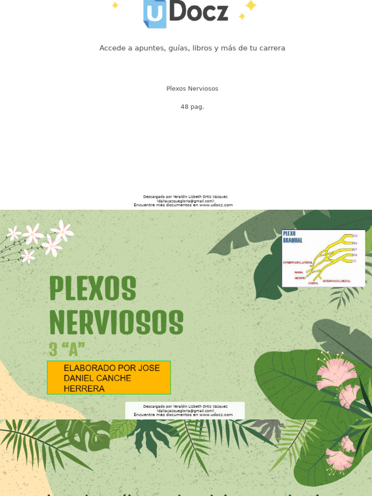 Plexos Nerviosos Pre 206558 Downloadable 2424395 | PDF | Anatomía humana | Tejido suave