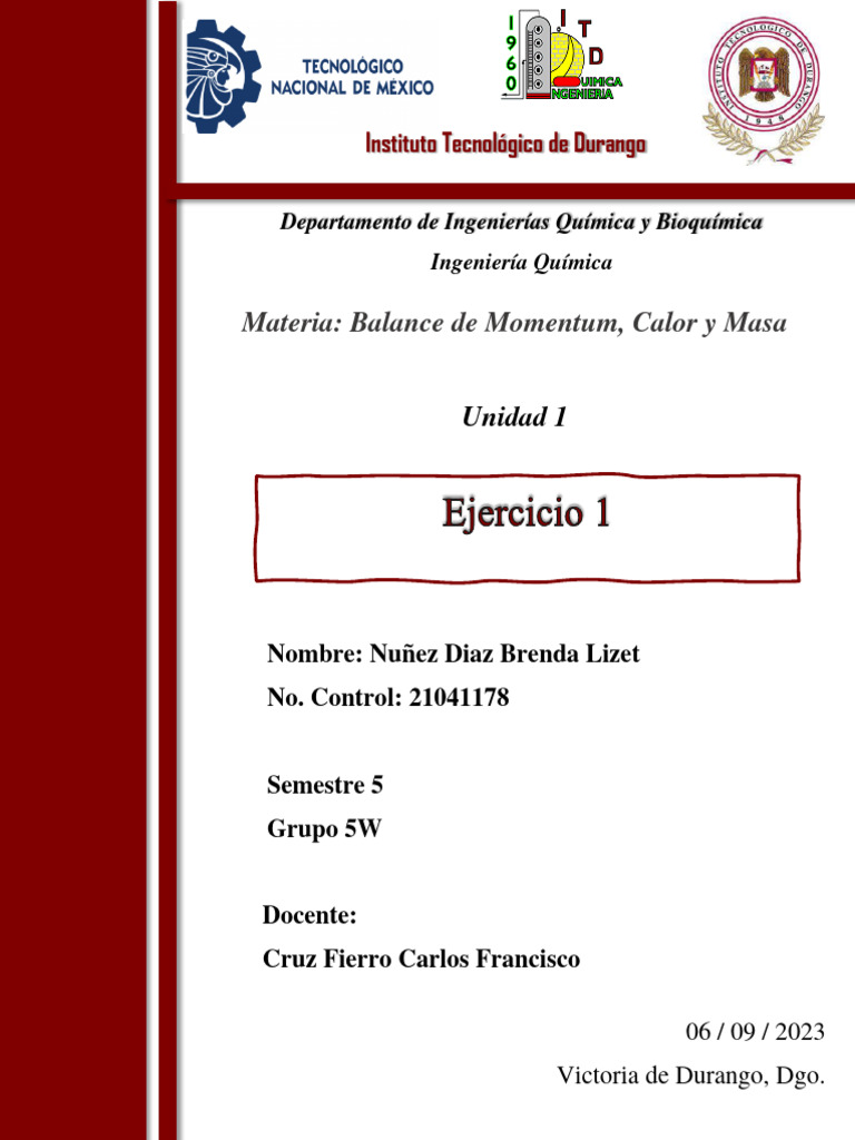 Ejercicio 1. Balance de Momentum - Nuñez Diaz - 5W | PDF