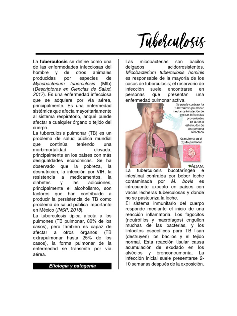 Apuntes. Tuberculosis Pulmonar | PDF | Tuberculosis | Enfermedades y ...