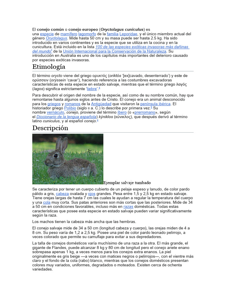 Conejos Pdf Organismos Biología