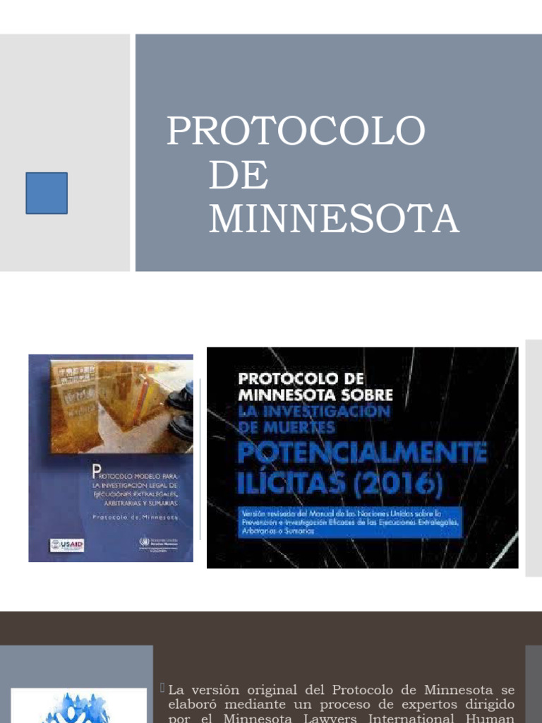Protocolo de Minnesota | PDF | Estado (política) | Naciones Unidas