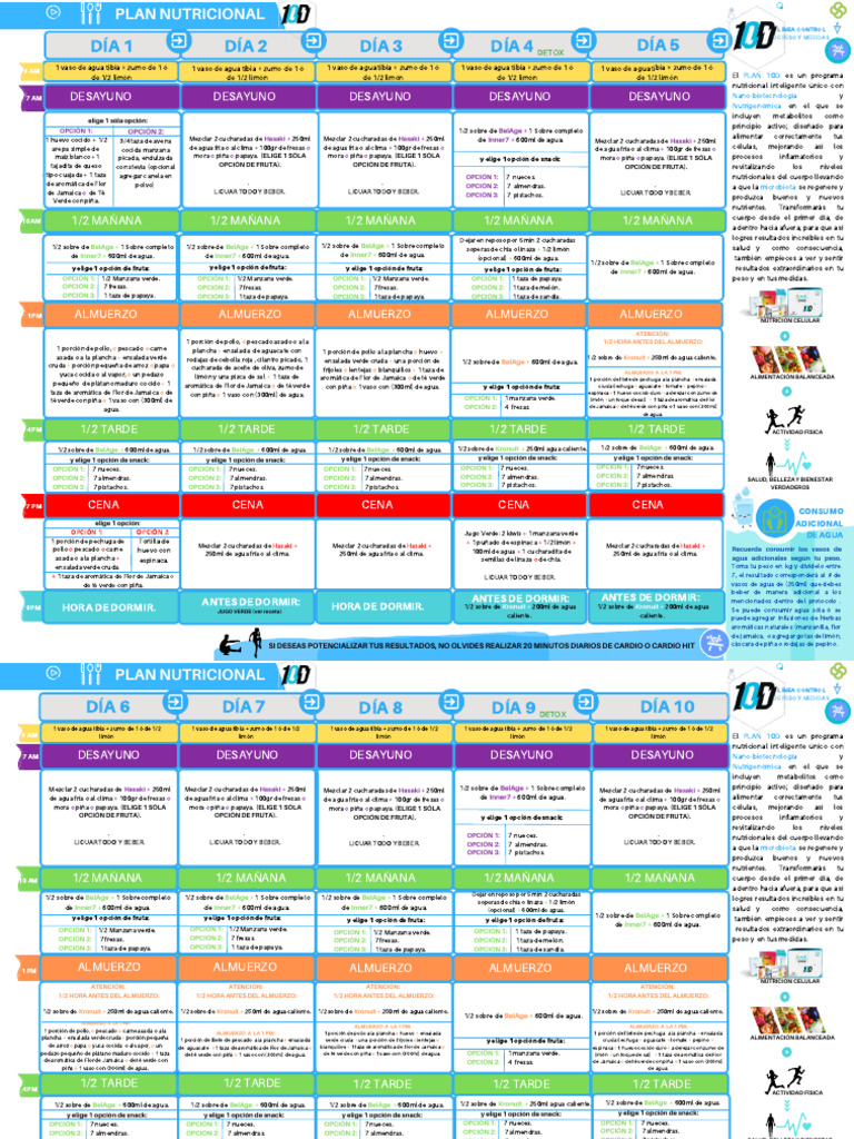 Plan Nutricional 10D | PDF | ensalada | filete
