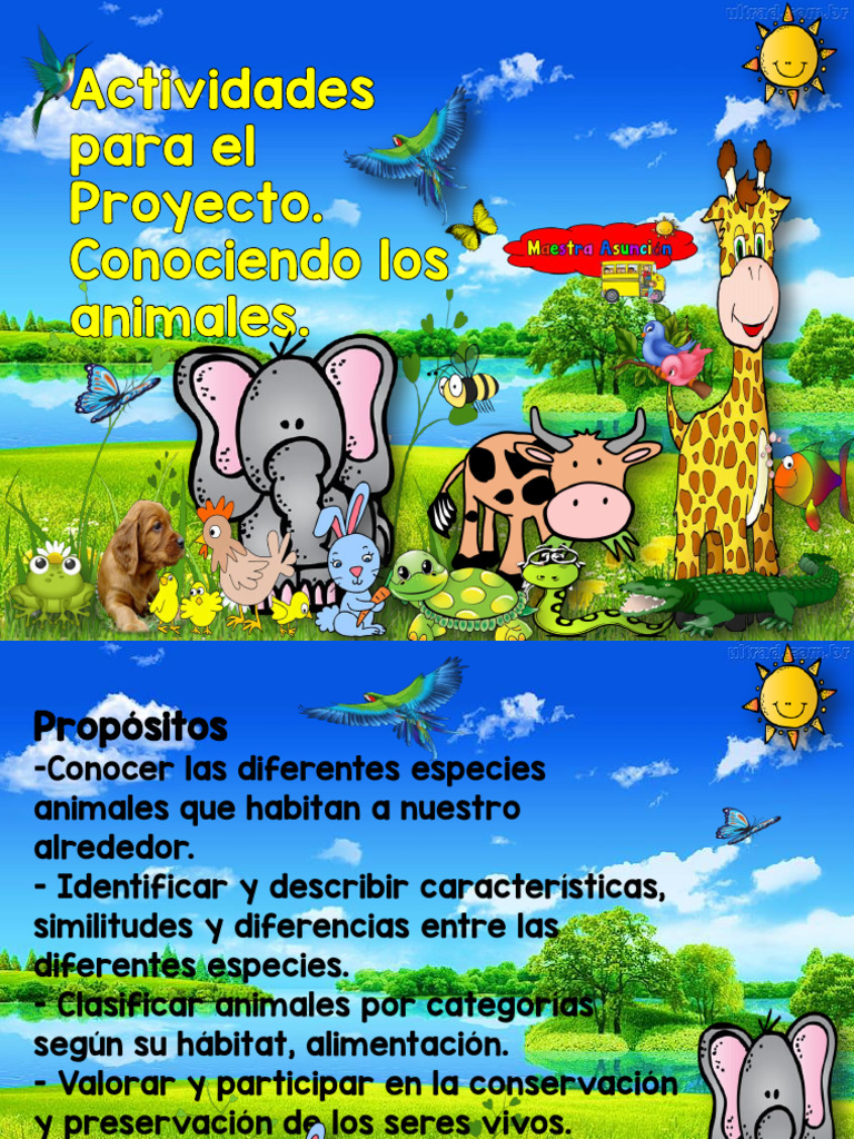 Conociendo Los Animales. Plan de Actividades | PDF