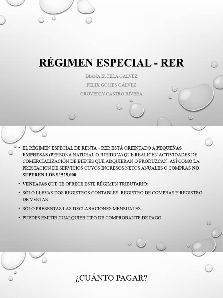 Régimen Especial - RER | PDF