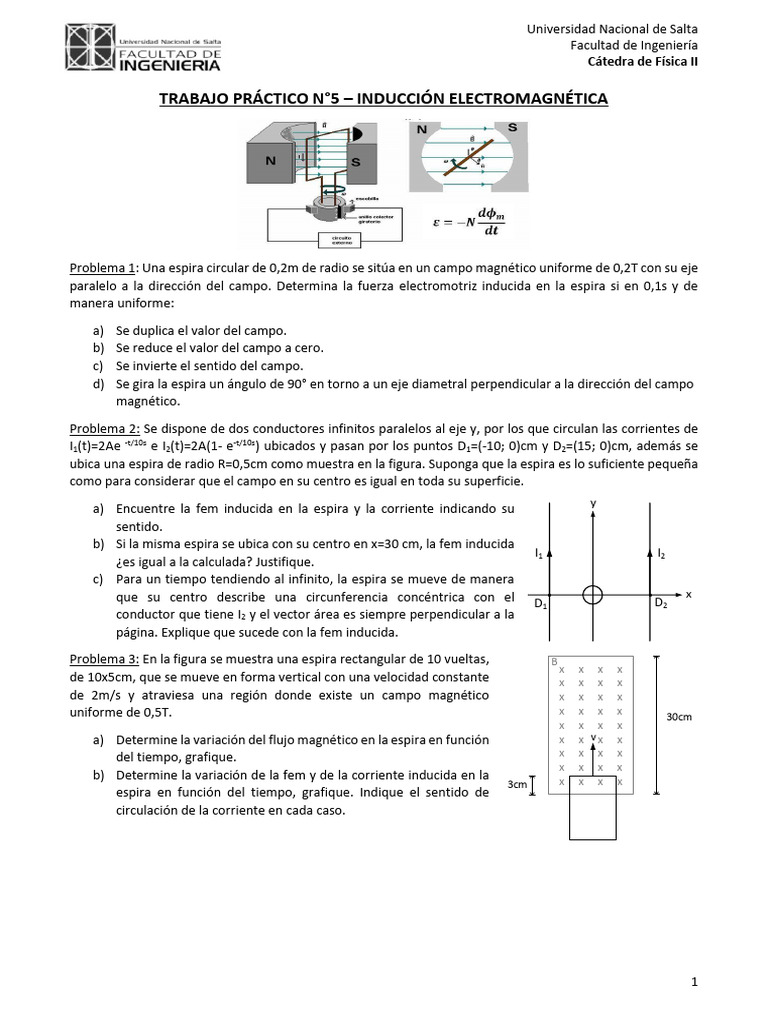 TRABAJO PRÁCTICO N°5 - Inducción Electromagnética | PDF | Inductor | Corriente eléctrica