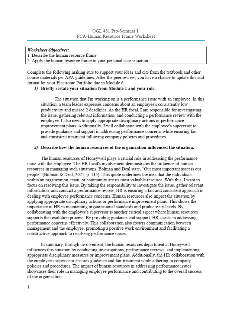 HR Frame Worksheet - Erin Schick | PDF | Human Resources | Mentorship