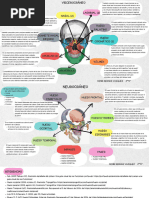 (Anatomía) Triángulos de Pirogoff y Béclard | PDF | Medicina CLINICA ...