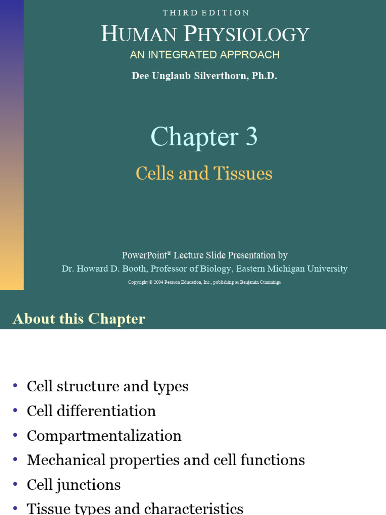Cells and Tissues | PDF | Endoplasmic Reticulum | Epithelium