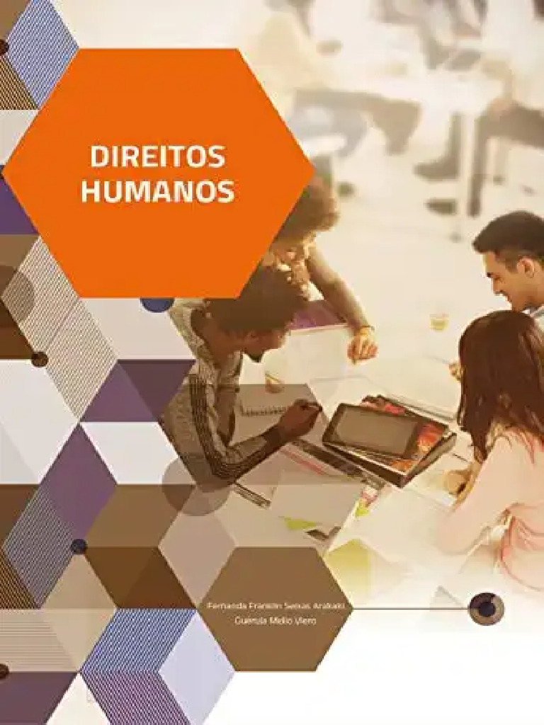 Direitos Humanos Fernanda Franklin Seixa | PDF