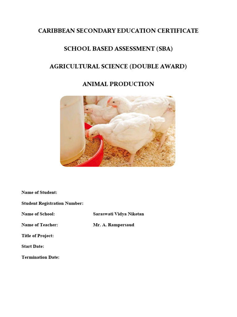 Broiler Sba | PDF | Dietary Supplements | Meat