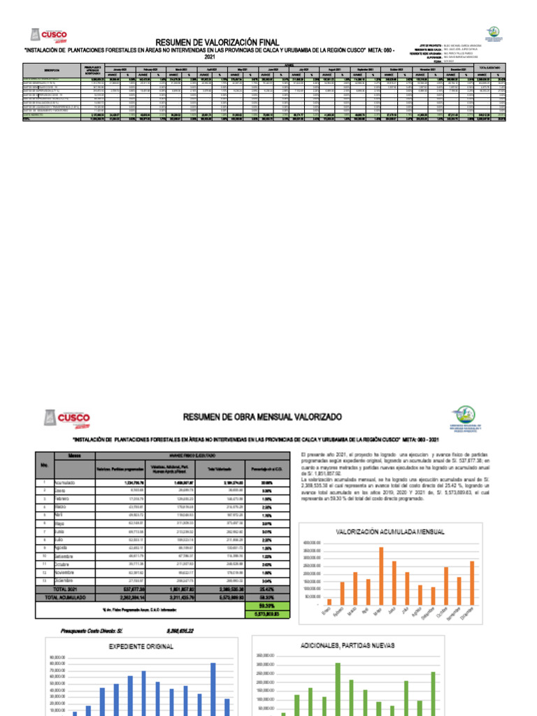 Resumen de La Valorizacion Final 2021 | PDF