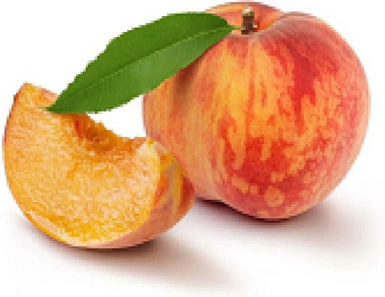 Peaches Pdf