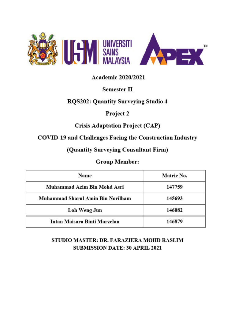 CAP Report Studio | PDF | Consultant | Risk Management