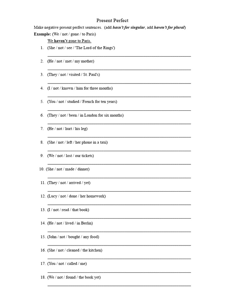 Present Perfect Negative Sentence Examples | PDF
