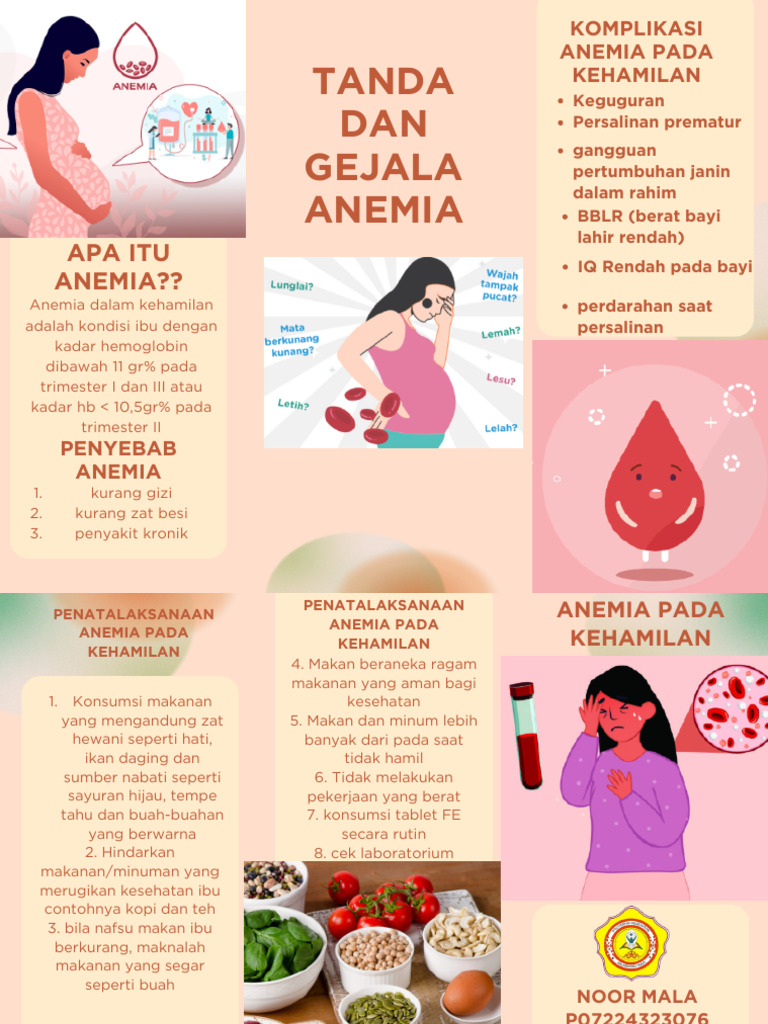 Fix Leaflet Anemia Kehamilan | PDF