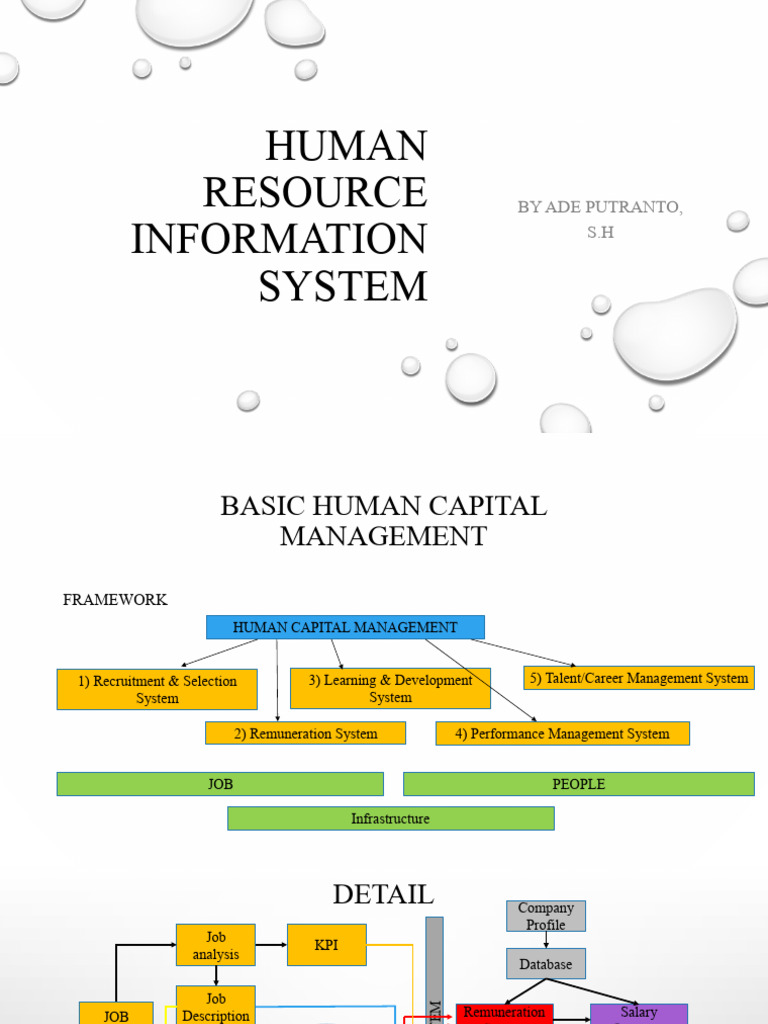 HUMAN RESOURCE INFORMATION SYSTEM (HRIS) PLANNING | PDF | Competence (Human Resources) | Economies