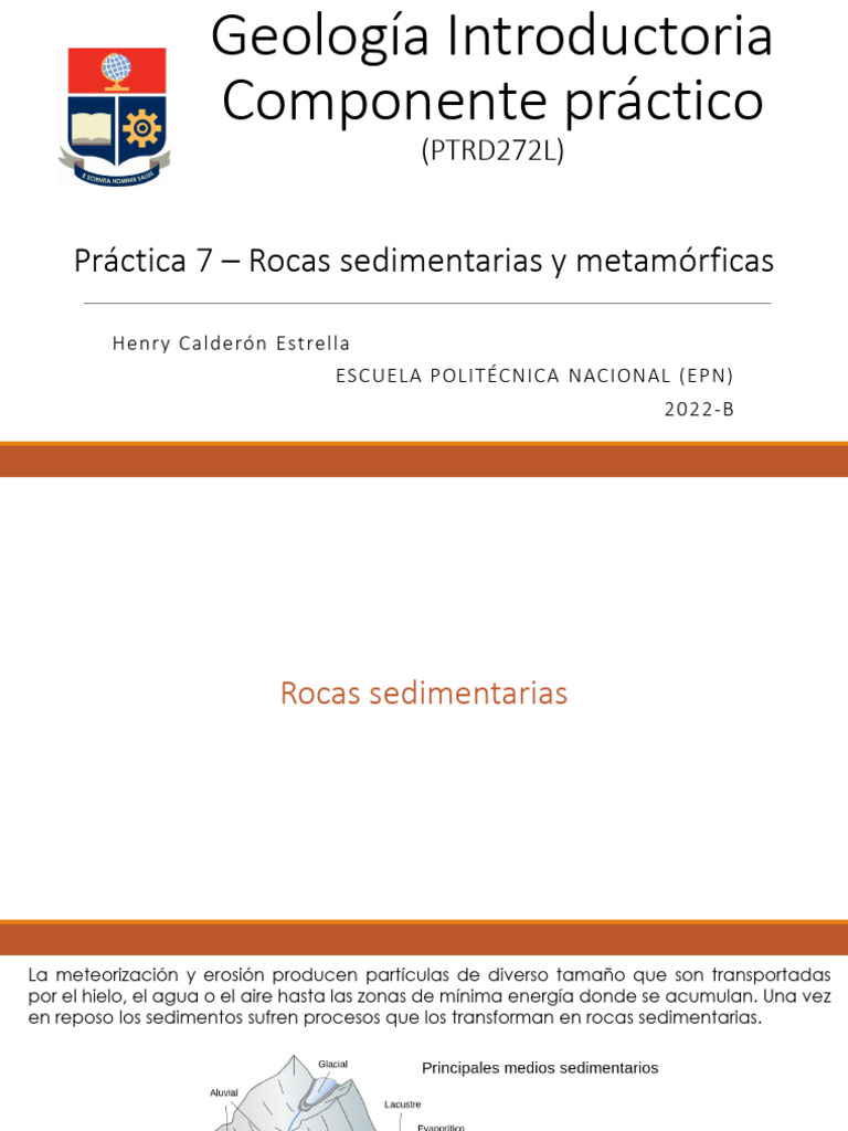 Clase_Práctica 7_Rocas sedimentarias y metamórficas | PDF | Roca (geología) | Roca clástica