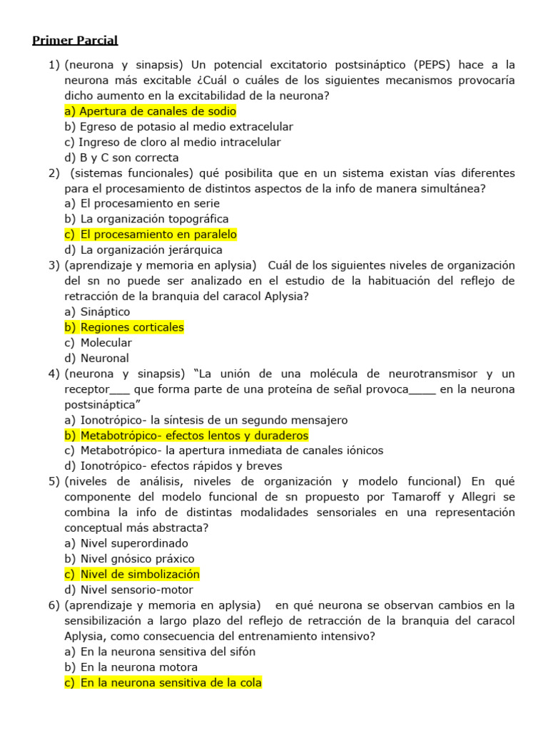 Final de Neuro | PDF | Sinapsis | Neurona