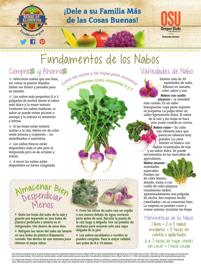 Spanish Turnip Monthly | PDF | Nabo | Vegetales