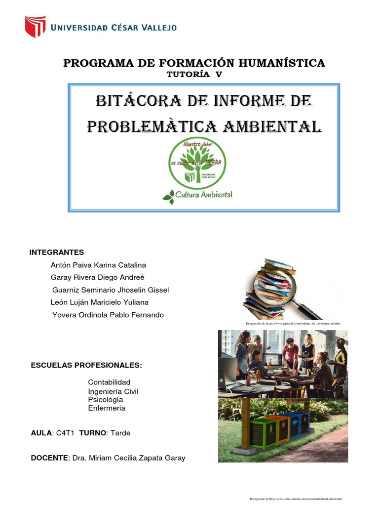 Trabajo Final - Bitácora de Problemática. Grupo 7. | PDF | La contaminación del agua | Entorno ...