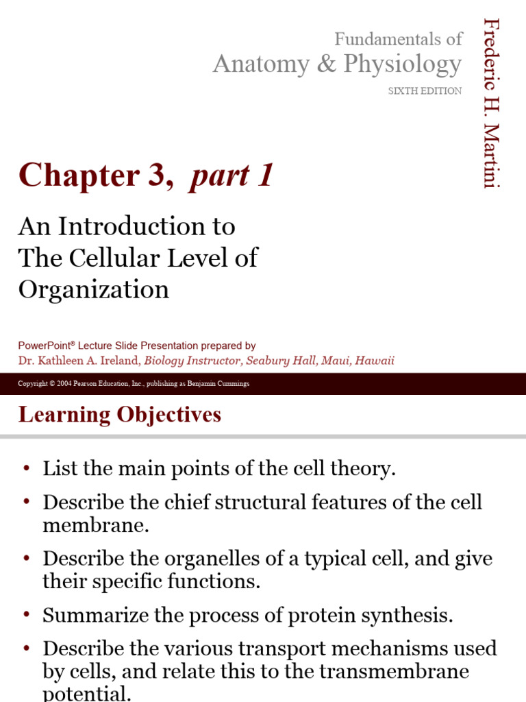 03-01 - An Introduction To The Cellular Level of Organization | PDF ...
