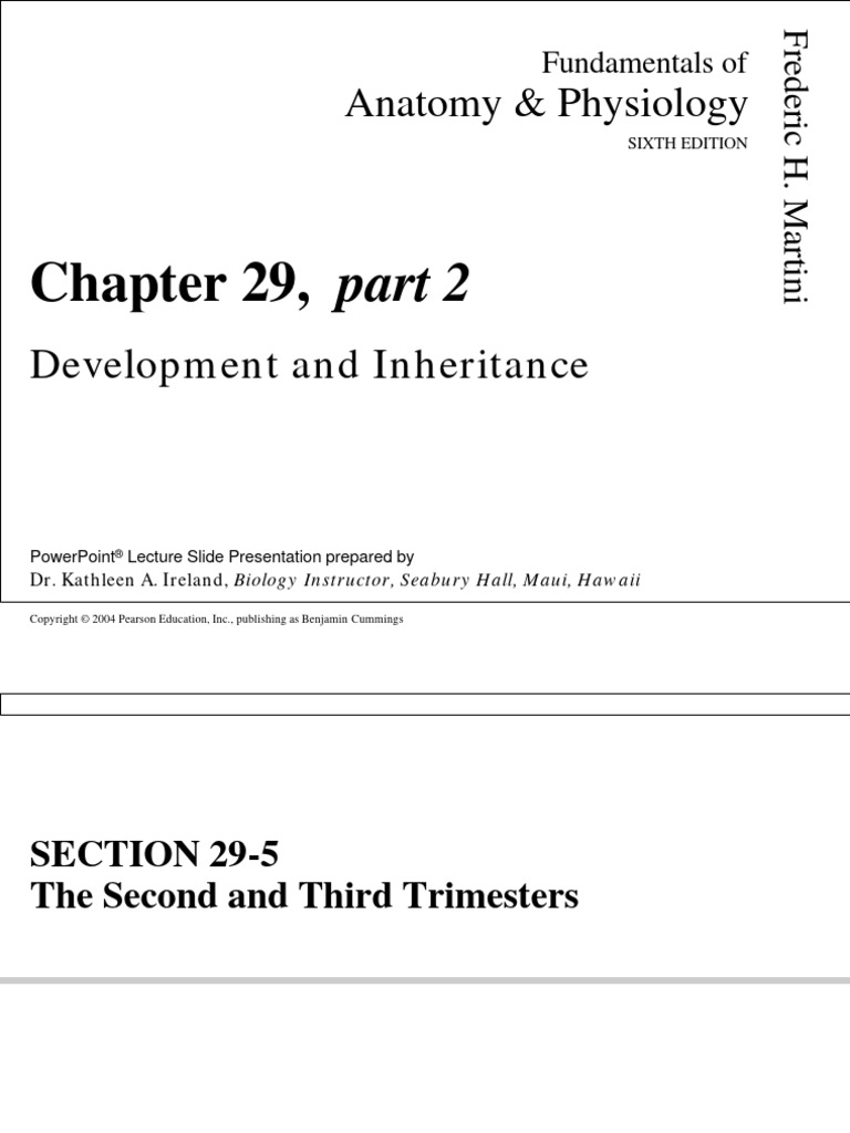 Anatomy & Fisiology_29-02 | PDF | Allele | Gene