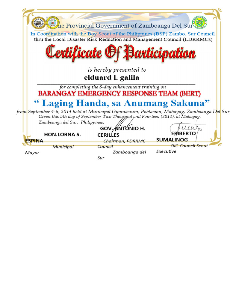 Bert Certificate Final | PDF | Scouting | Outdoor Recreation