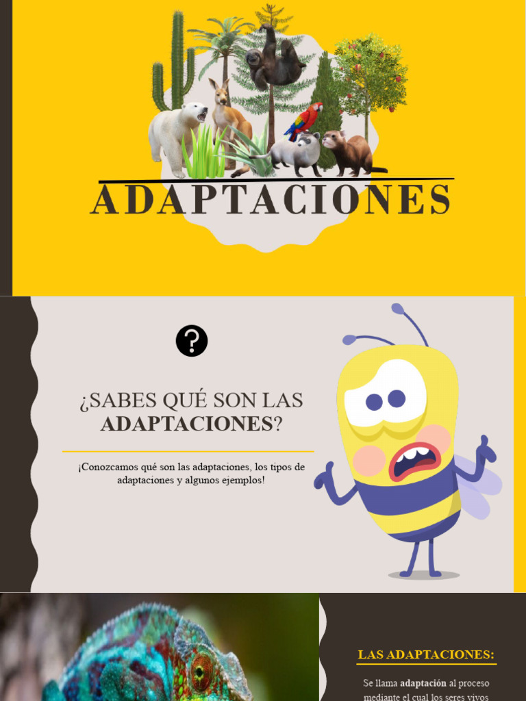 Concepto y Clases de Adaptaciones. Adaptaciones Morfologicas | PDF ...